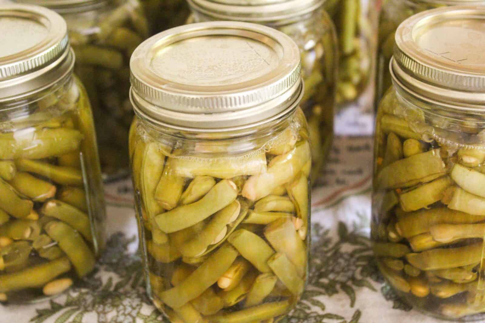 Canning Green Beans (Safe-Tested Recipe) - Natural Rooted Home