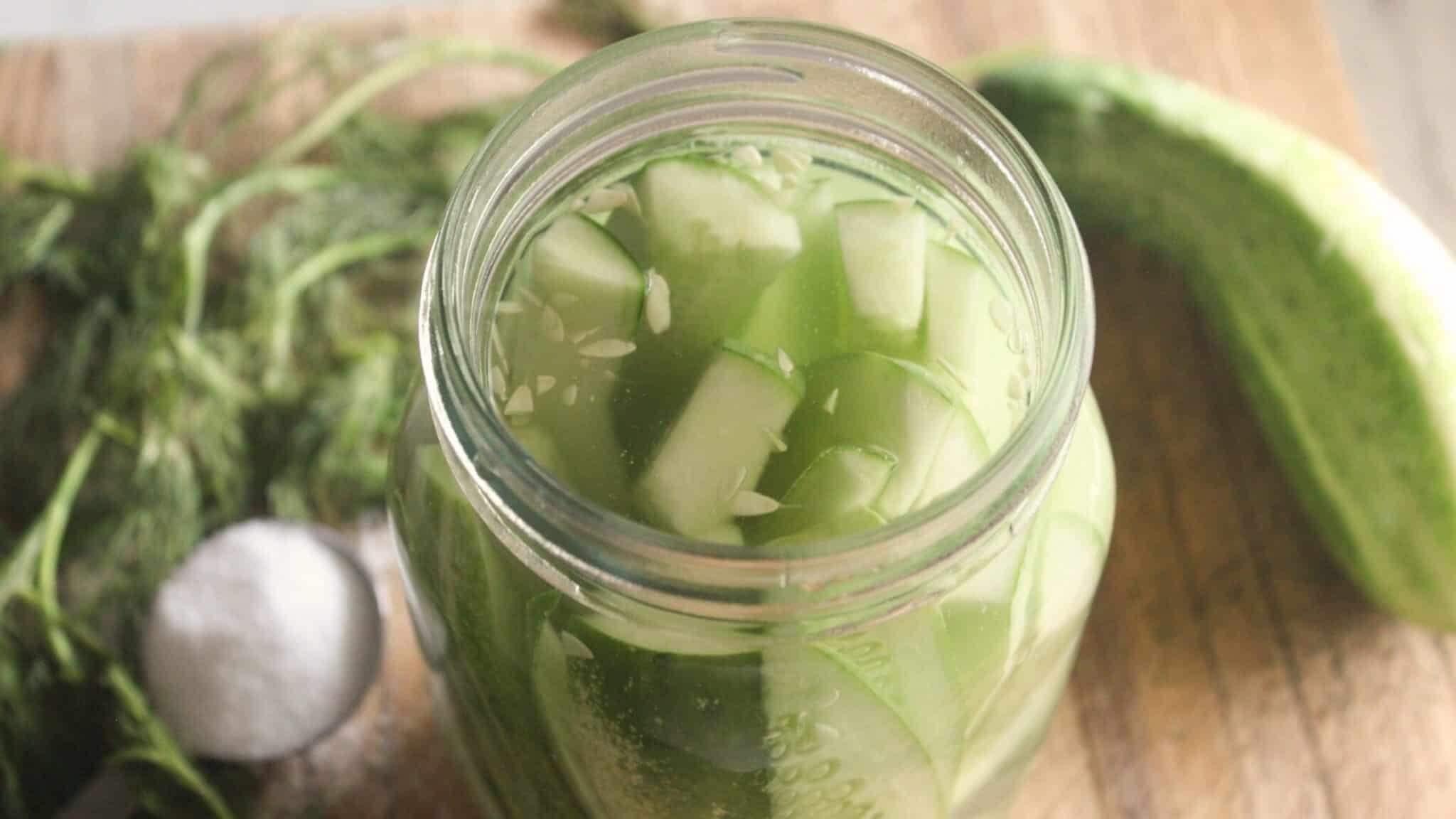 Fermented Dill Pickles Recipe - Natural Rooted Home